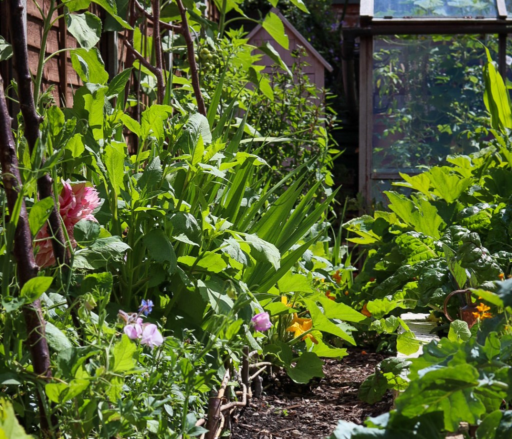 Becky Searle; About The Author - Sow Much More